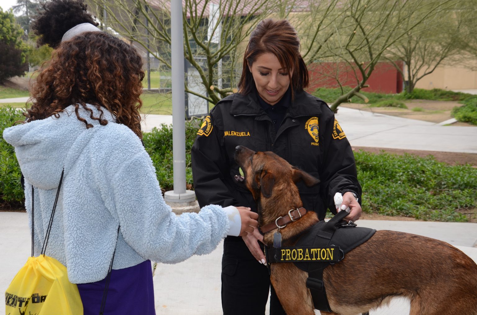 Public Information – San Bernardino County Probation